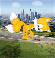 MacroSonic • Tails Study 4