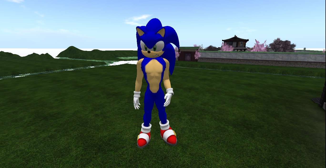 MacroSonic • Macro Sonic - With Gloves